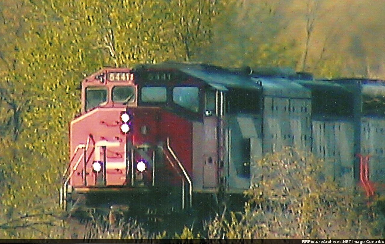 CN 5441